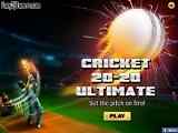 Pro Cricket Champion, Cricket Games - Play Online Free : Atmegame.com